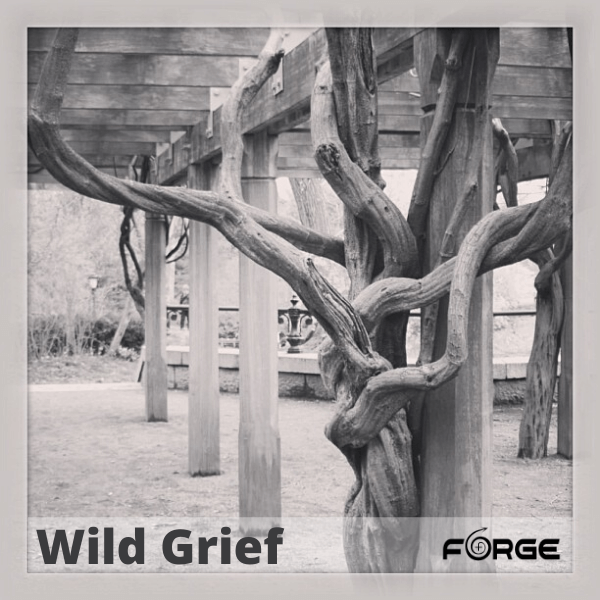 Wild Grief - Trans Survivors