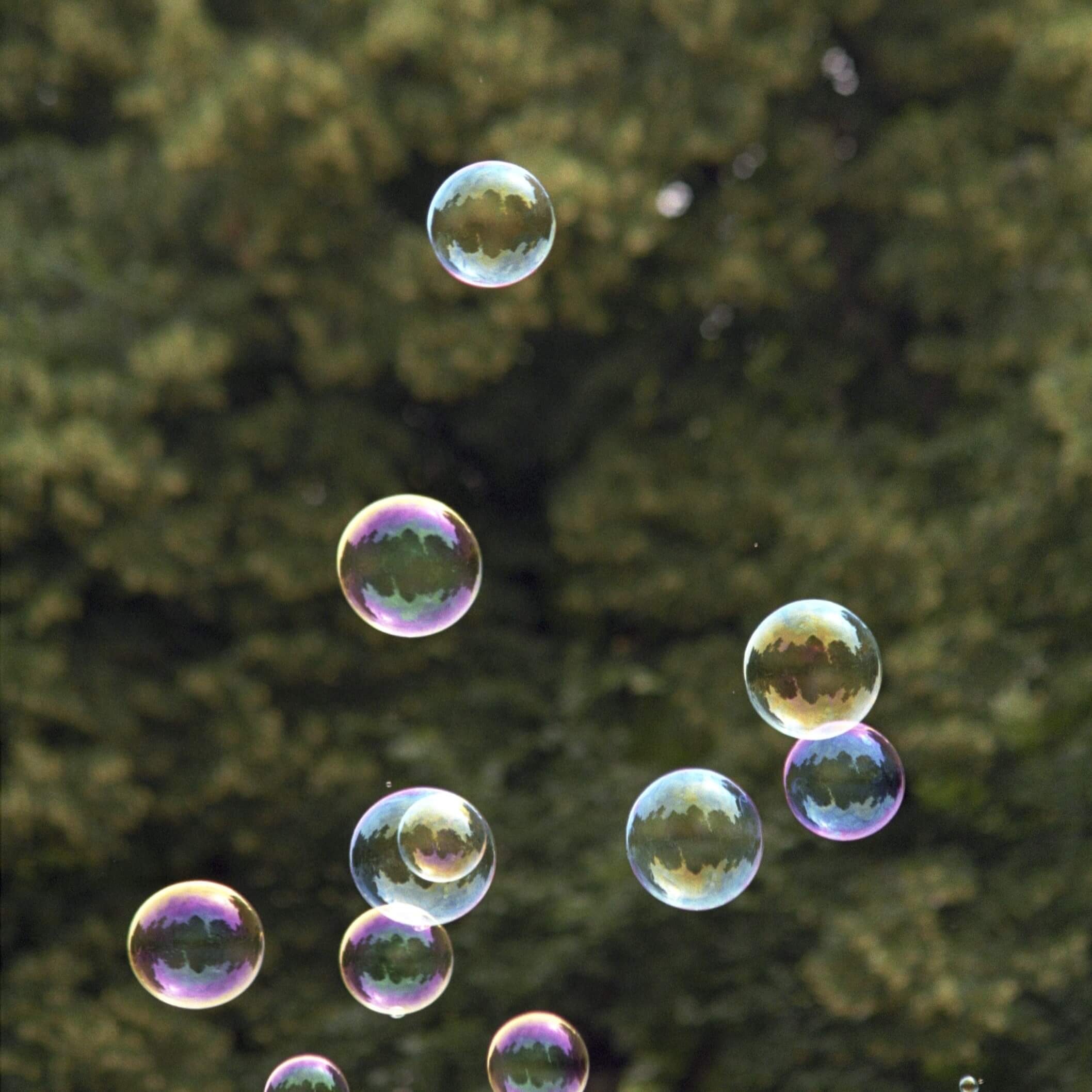 Creating your Bubble for Trans Survivors - Trans Survivors